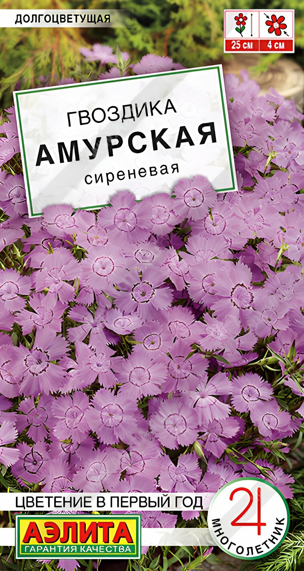 Семена Гвоздика Амурская сиреневая (0,05 г), многолетник, Агрофирма Аэлита