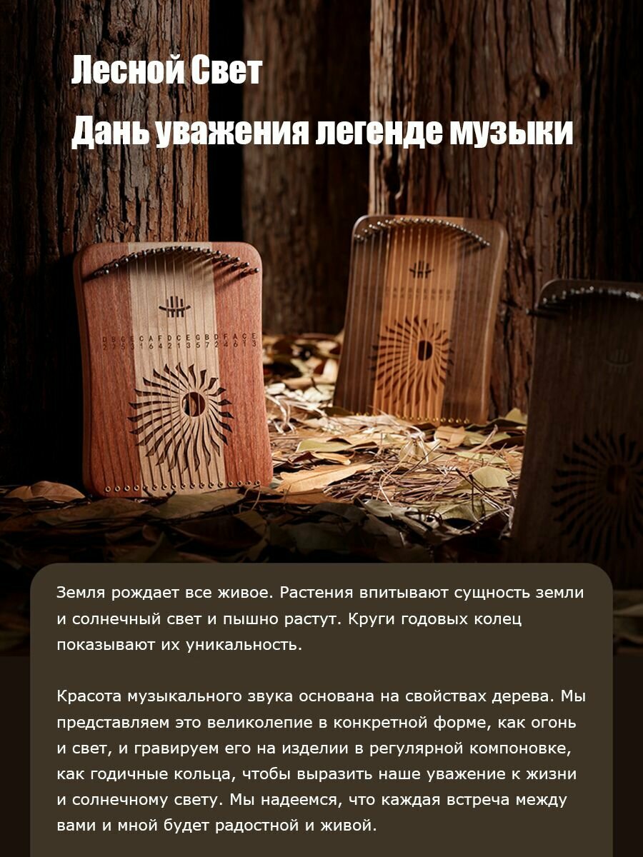 Струнный инструмент