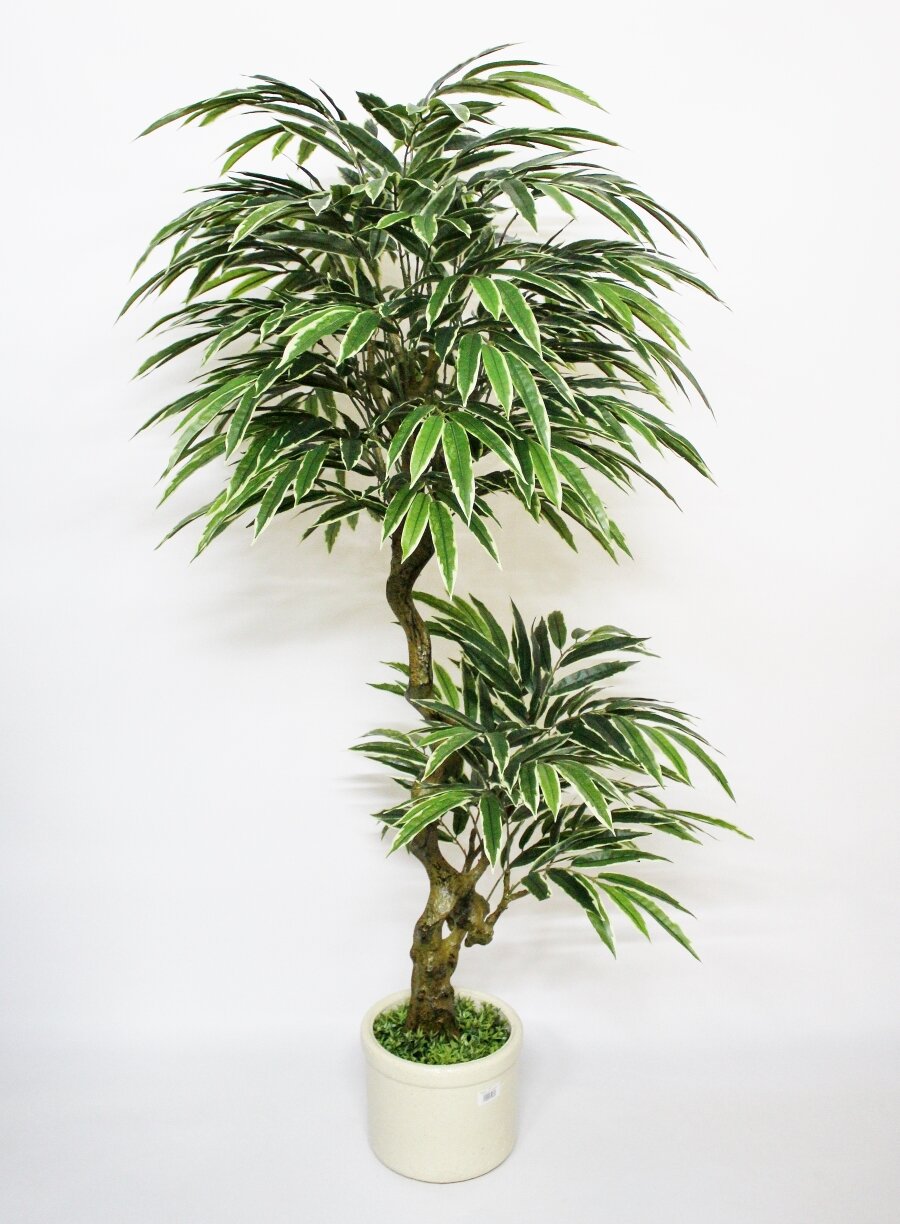 Дерево манго искусственное, 170 см, бренд CONEKO - декор для дома и офиса