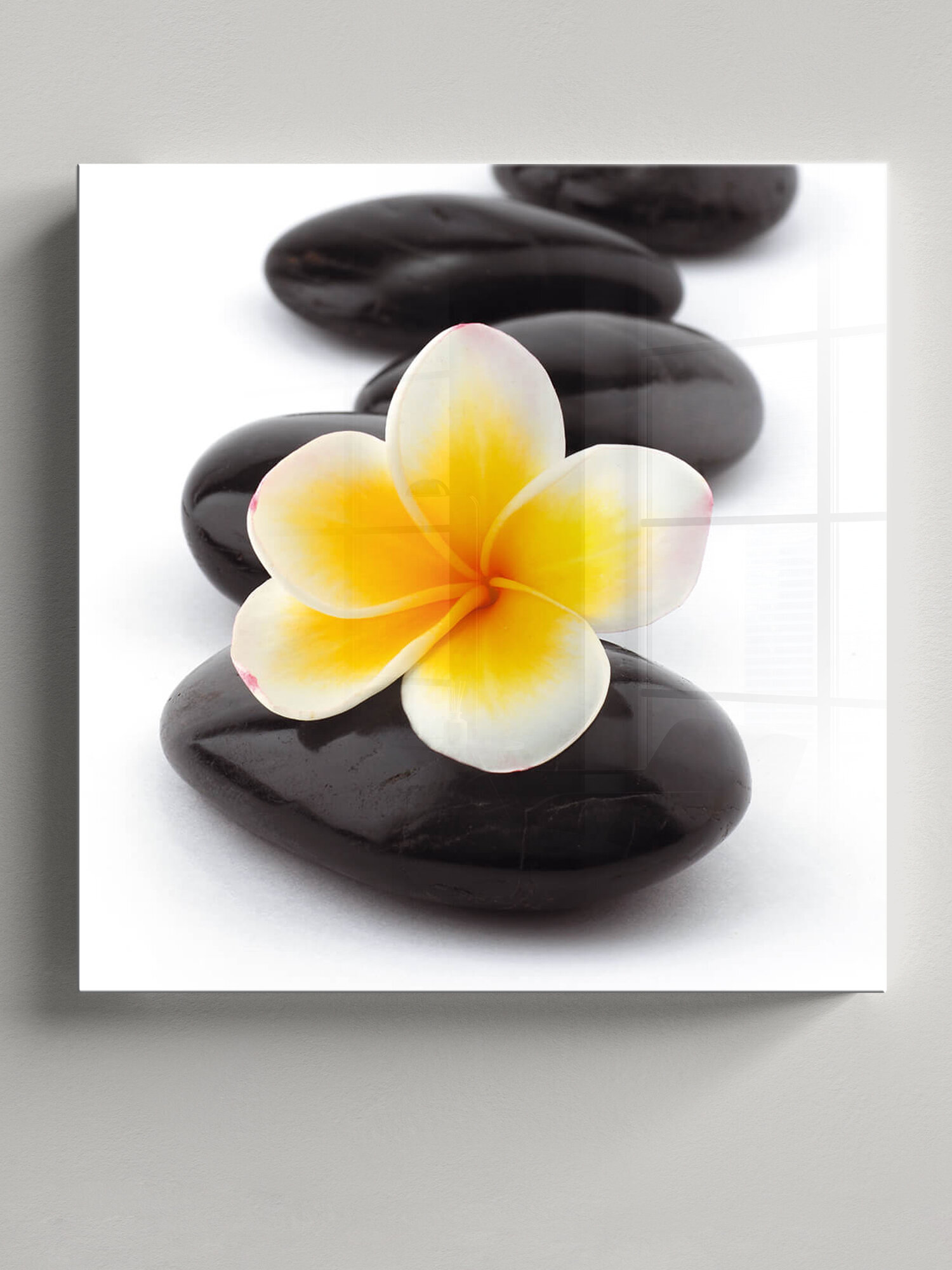 Картина Postermarket "Цветок на камне" на стекле, 30 x 30 см.