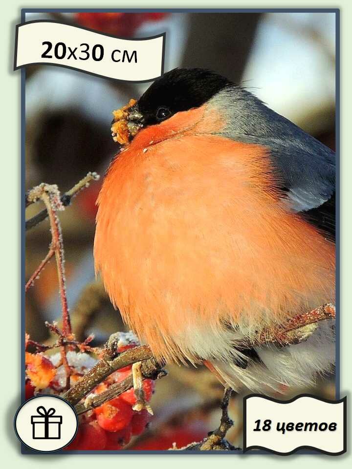 Алмазная мозаика "Снегирь", на подрамнике, полная выкладка, 20x30 см, 18 страз