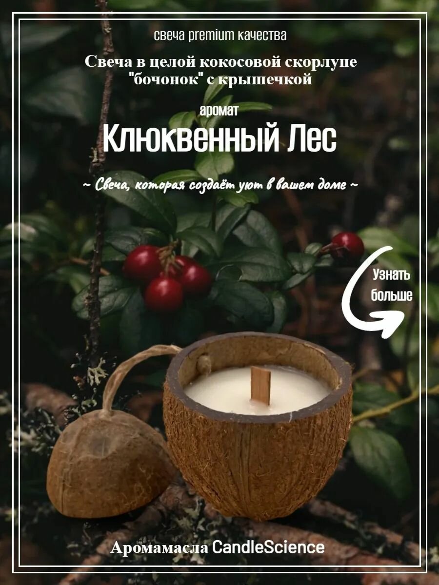 Аромасвеча L CandleScience Cranberry Woods