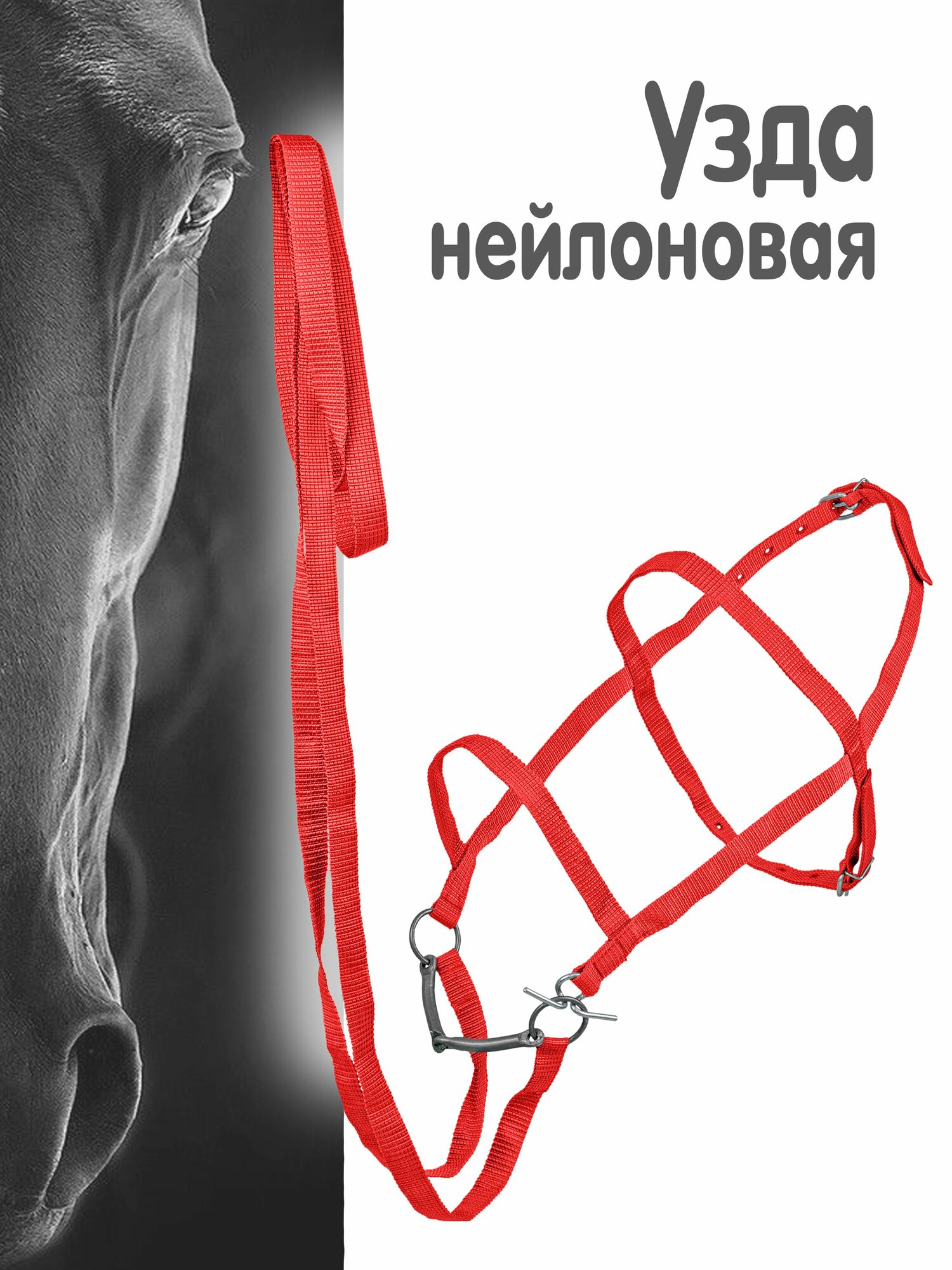 Узда REITER, для лошади, нейлоновая, регулируемая, 70см, красная