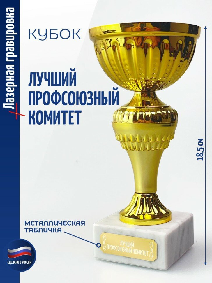 Кубок "Лучший профсоюзный комитет" (18,4 см)
