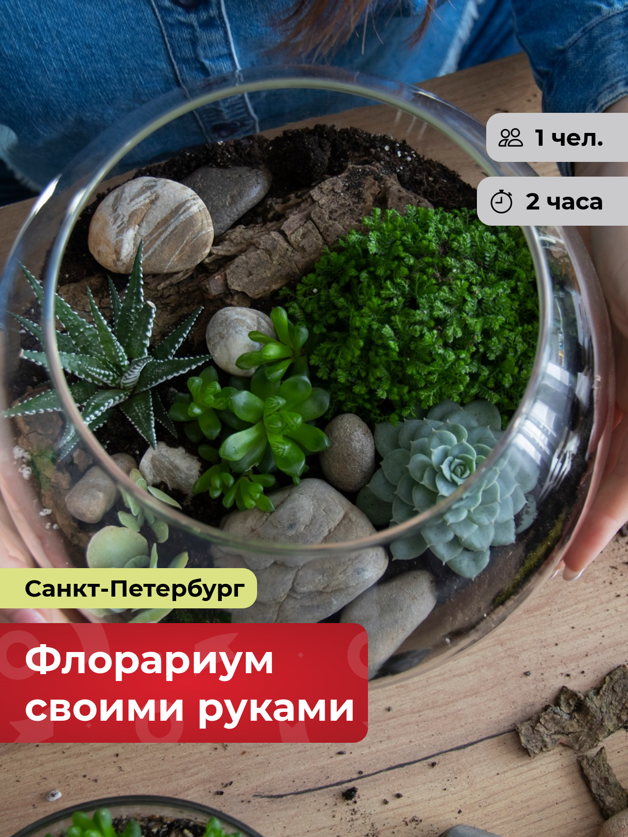 Подарочный сертификат bonodono Мастер-класс по созданию флорариума формы боул «Мини-сад.», Санкт-Петербург