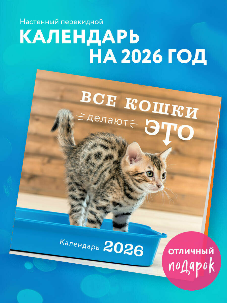 Все кошки делают это. Календарь настенный на 2026 год (300х300)