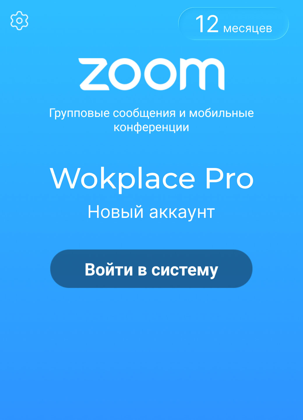 Zoom Wokplace Pro подписка на 12 месяцев (Активация на ваш новый аккаунт)