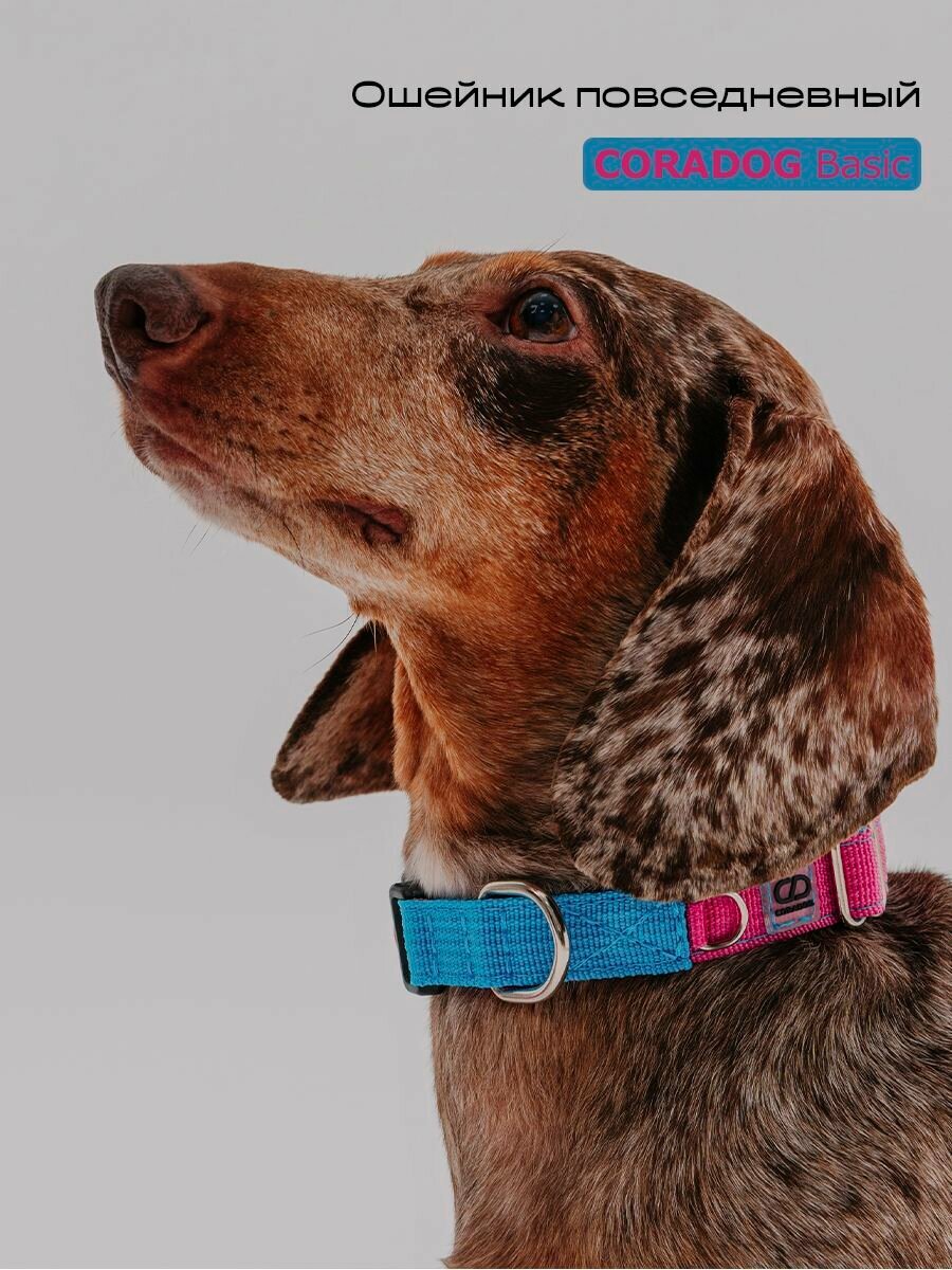 Ошейник повседневный, CORADOG Basic, для маленьких собак, голубой ярко розовый, размер S 28-44 см