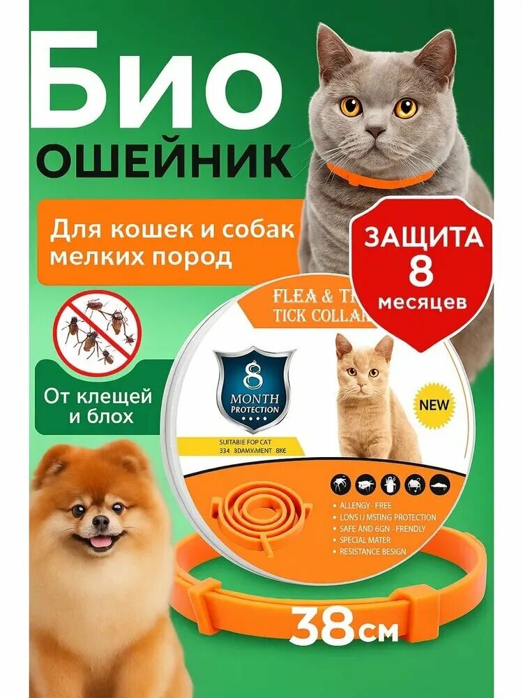 Ошейник от блох и клещей для кошек и собак& Оранжевый 38 см