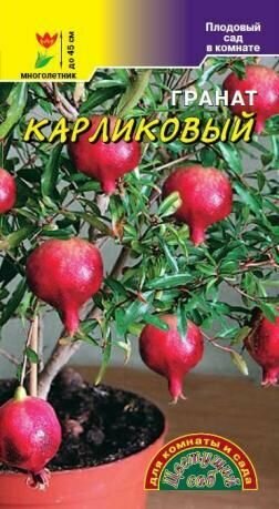 Гранат Карликовый