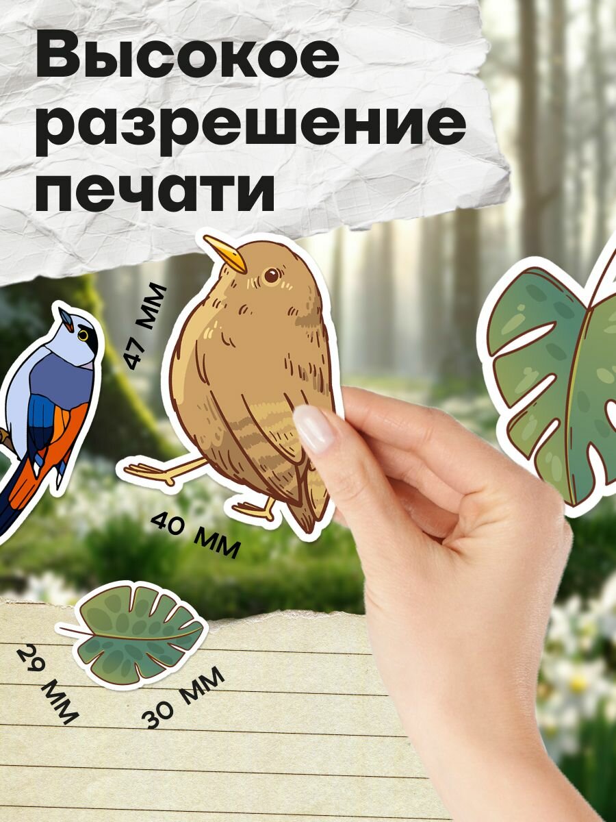 Наклейки птицы, виниловые, для творчества, многоразовые, 75 штук — фото 1