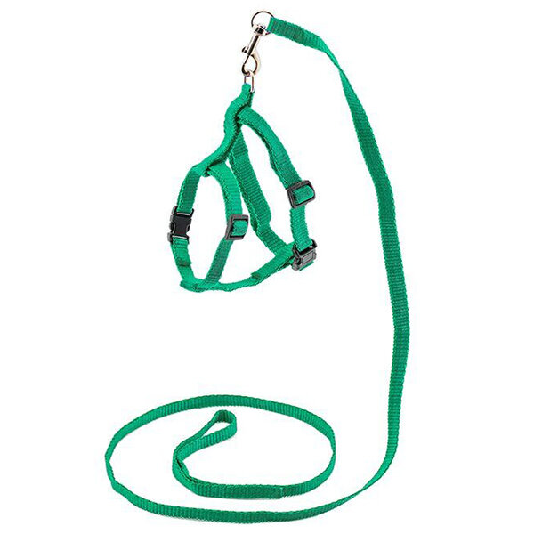 Комплект для животных Дарэлл ECO Sport Classic, синтетический, поводок 1х120 см, шлейка обхват груди 30-45 см, зеленый