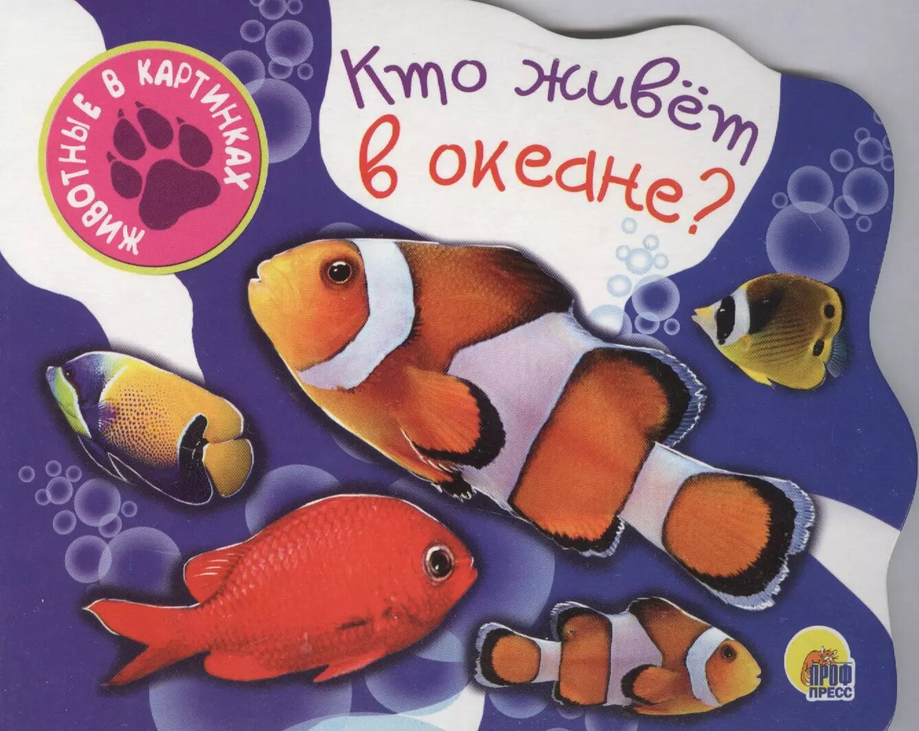 Кто живет в океане