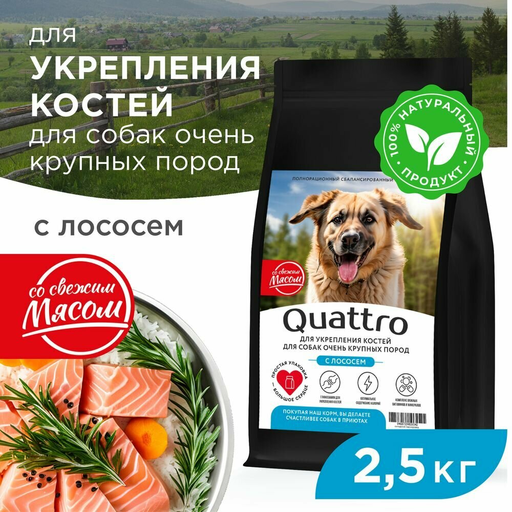 Корм сухой для взрослых собак очень крупных пород, премиум полнорационный комплекс, для укрепления костей у собак, с лососем, 2,5 кг, QUATTRO