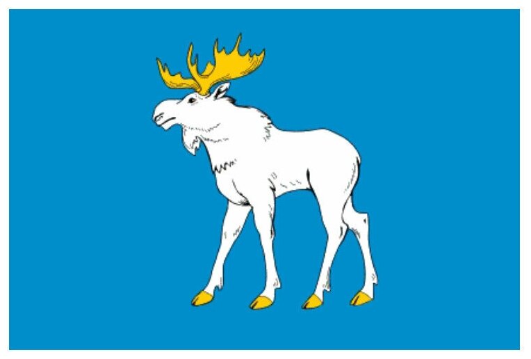 Флаг города Йошкар-Ола 70х105 см