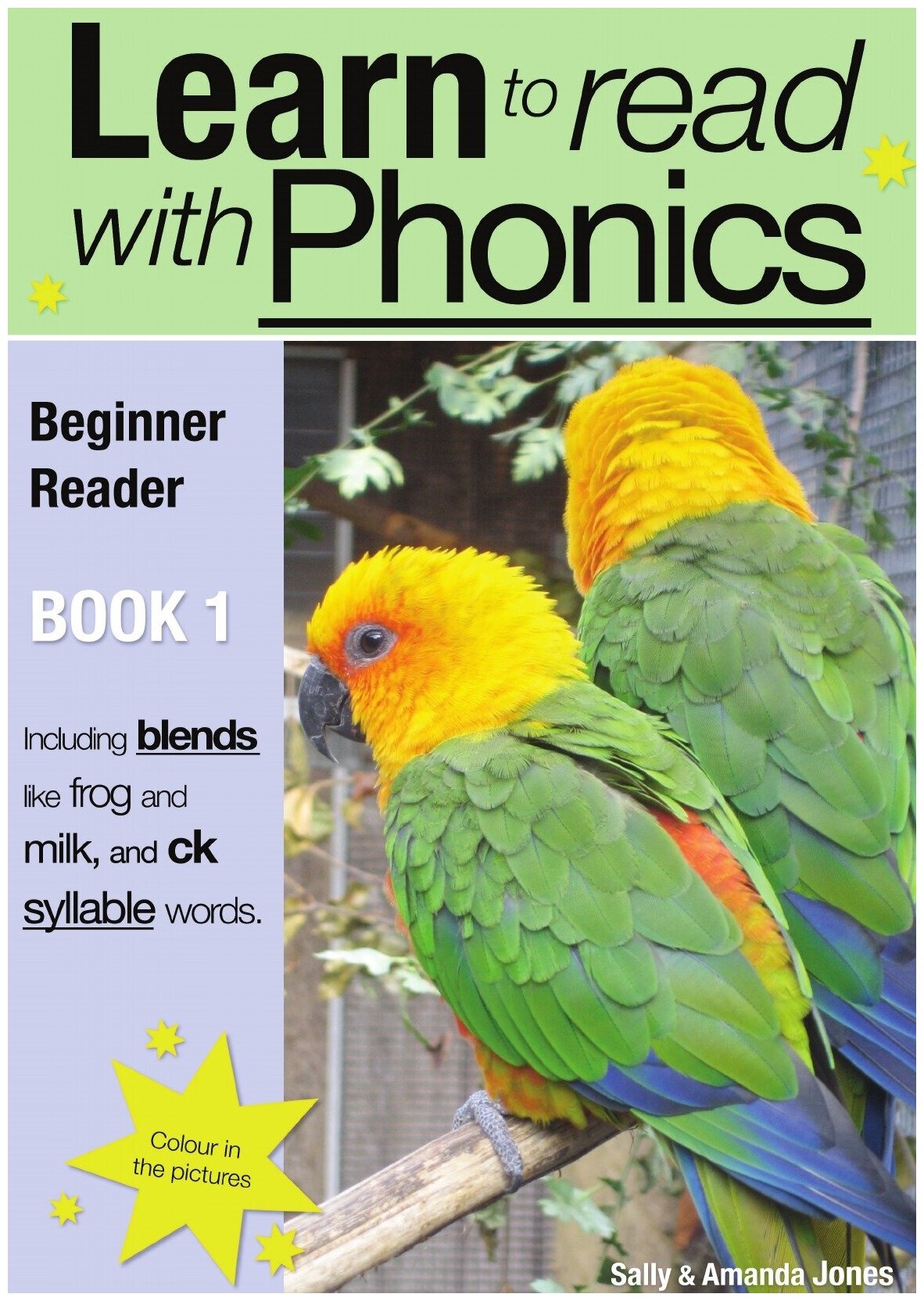 Learn To Read Rapidly With Phonics. Beginner Reader Book 1: A fun, colour in phonic reading scheme