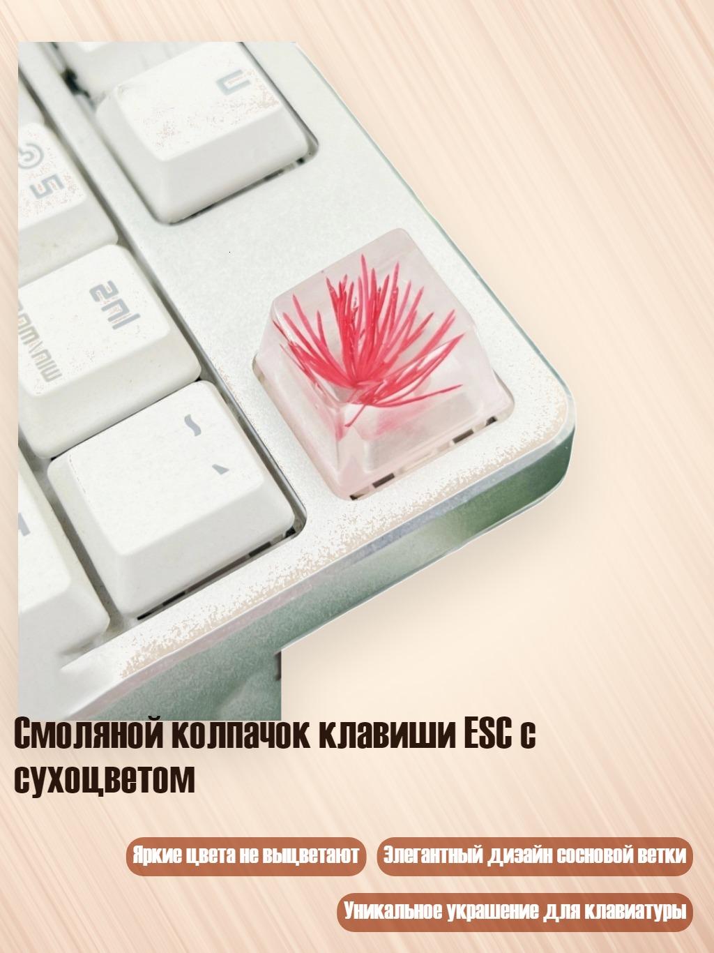 Смоляной колпачок клавиши ESC с сухоцветом, красный