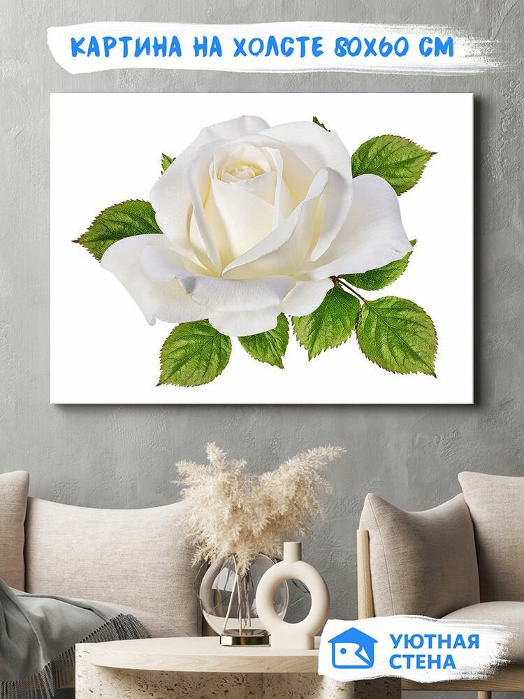 Картина на натуральном холсте Уютная стена "Красивый бутон белой розы крупным планом" 80х60 см