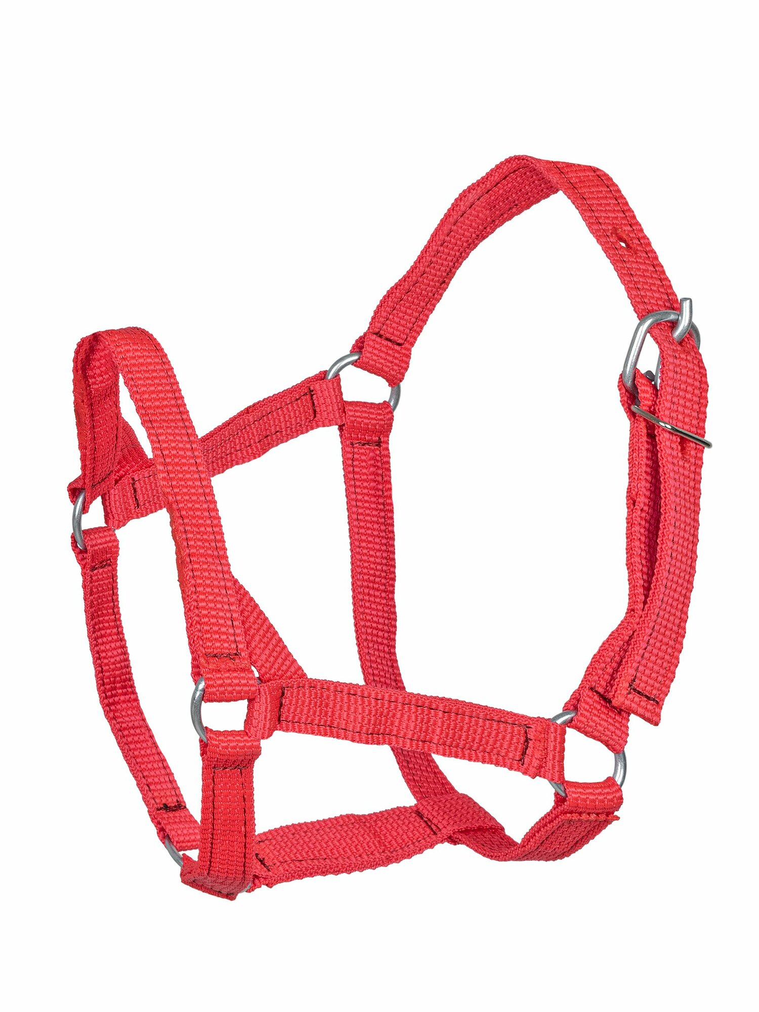 Недоуздок REITER для жеребят нейлоновый двойной 20 мм REITER