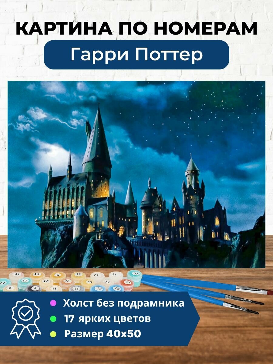 Картина по номерам Гарри Поттер Ночной Хогвартс холсте 40x50 см с красками и кистью