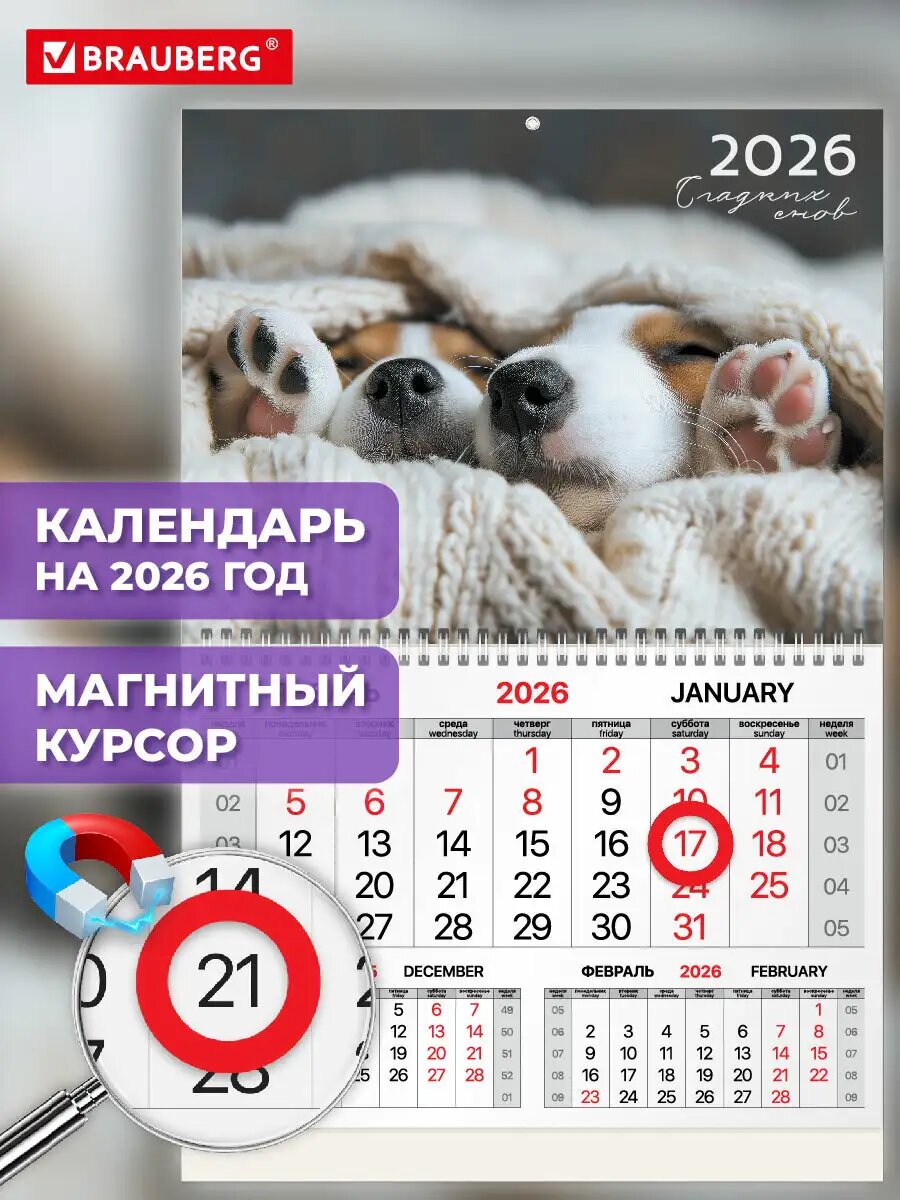 Календарь настенный на 2026 год квартальный отрывной, 1 блок 1 гребень с магнитным курсором, Brauberg Носики, 116922