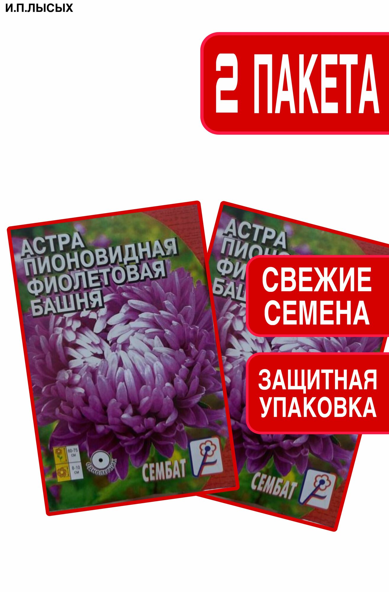 Семена Астра Пионовидная "Фиолетовая Башня"