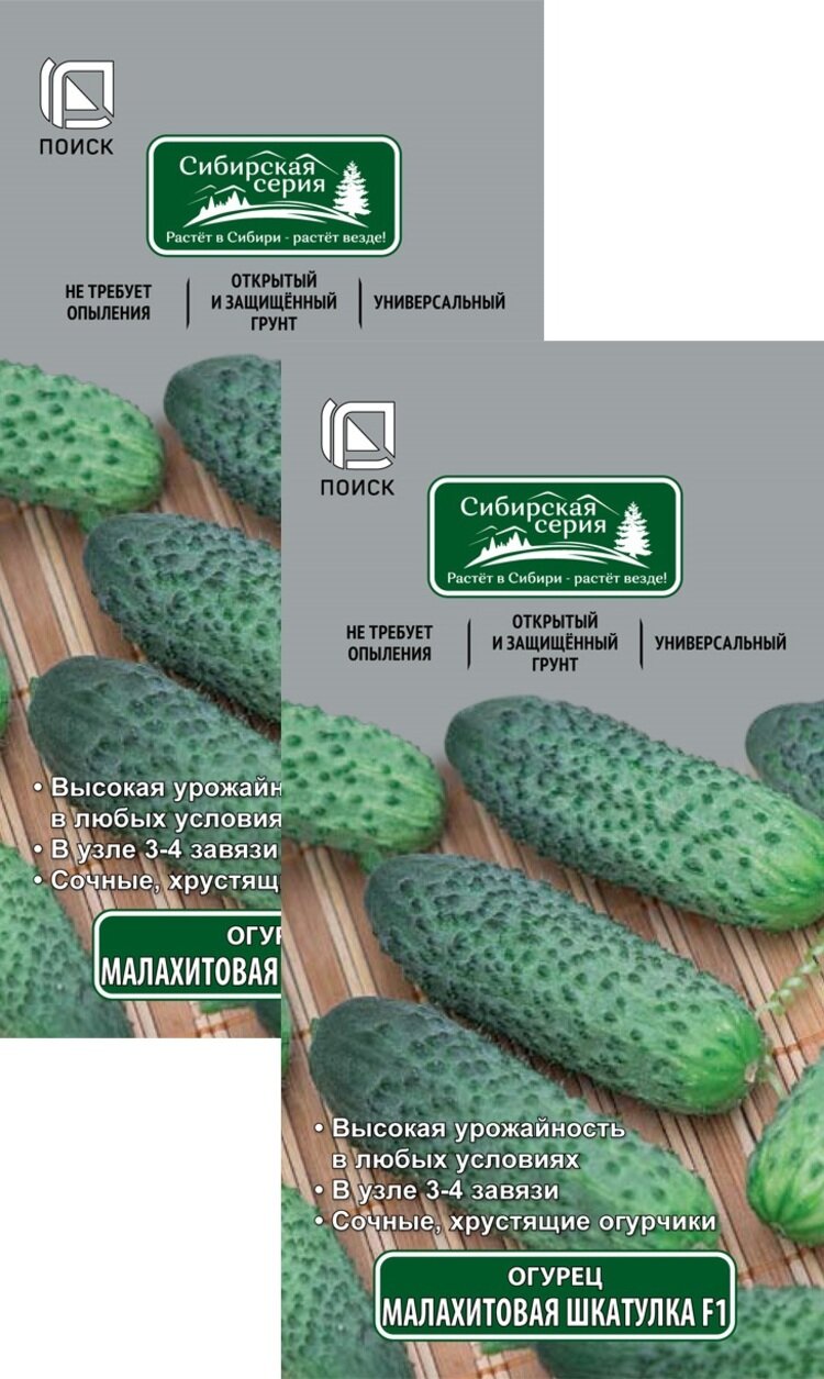 Сеена Огурец Малахитовая шкатулка F1 (12 семян), 2 пакета, Агрофирма Поиск