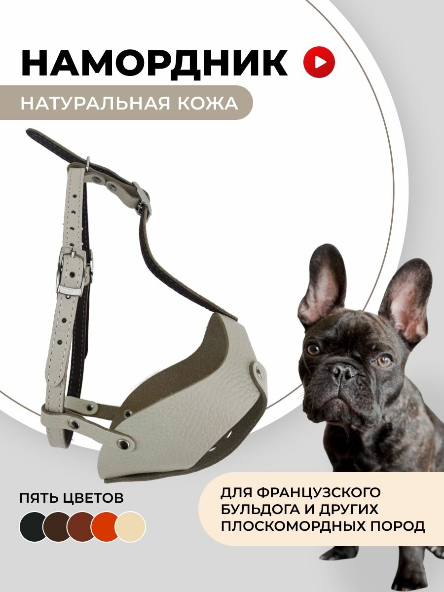 Намордник для французского бульдога и плоскомордых собак кожаный