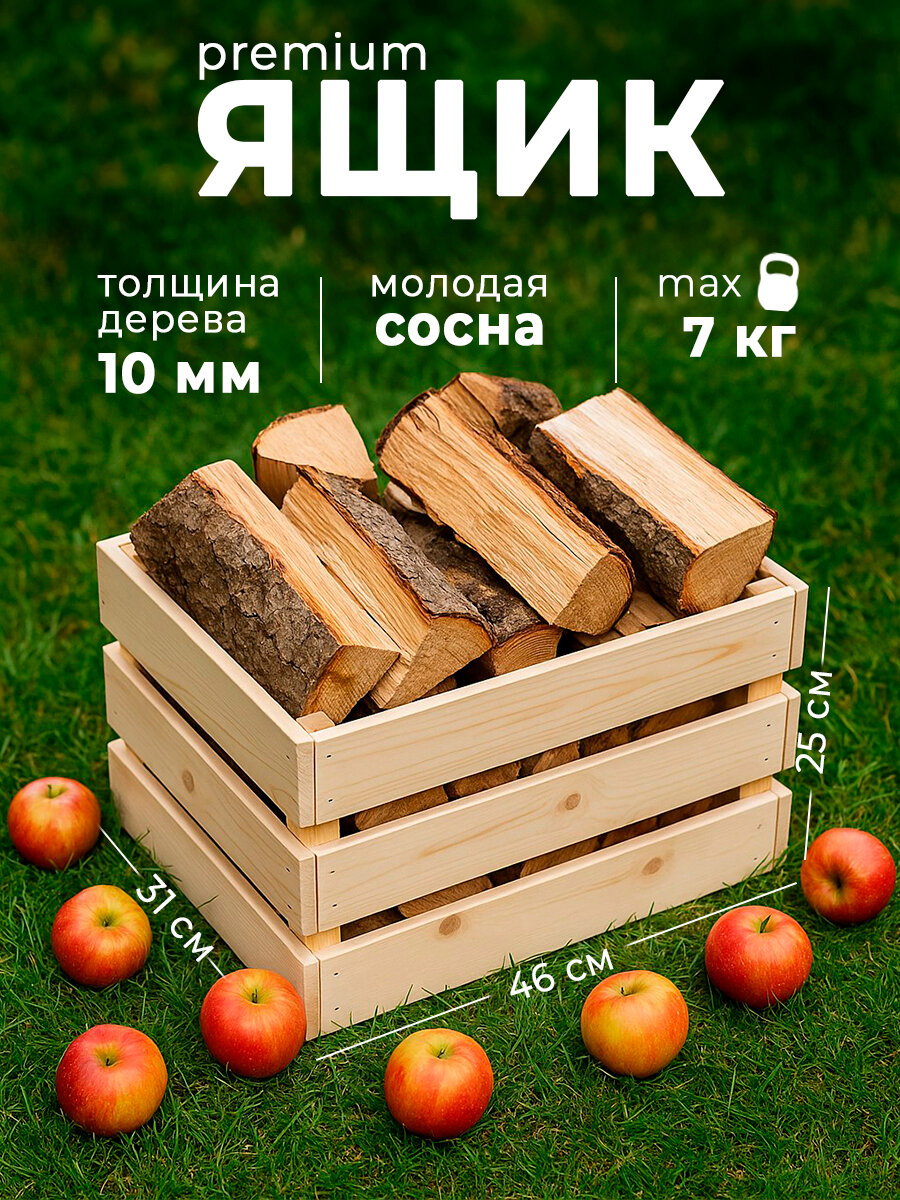 Контейнер для хранения Bergwolf, деревянный, массив, 46*31*25см, нагрузка до 7кг, 1 штука, отшлифован, цвет натуральный