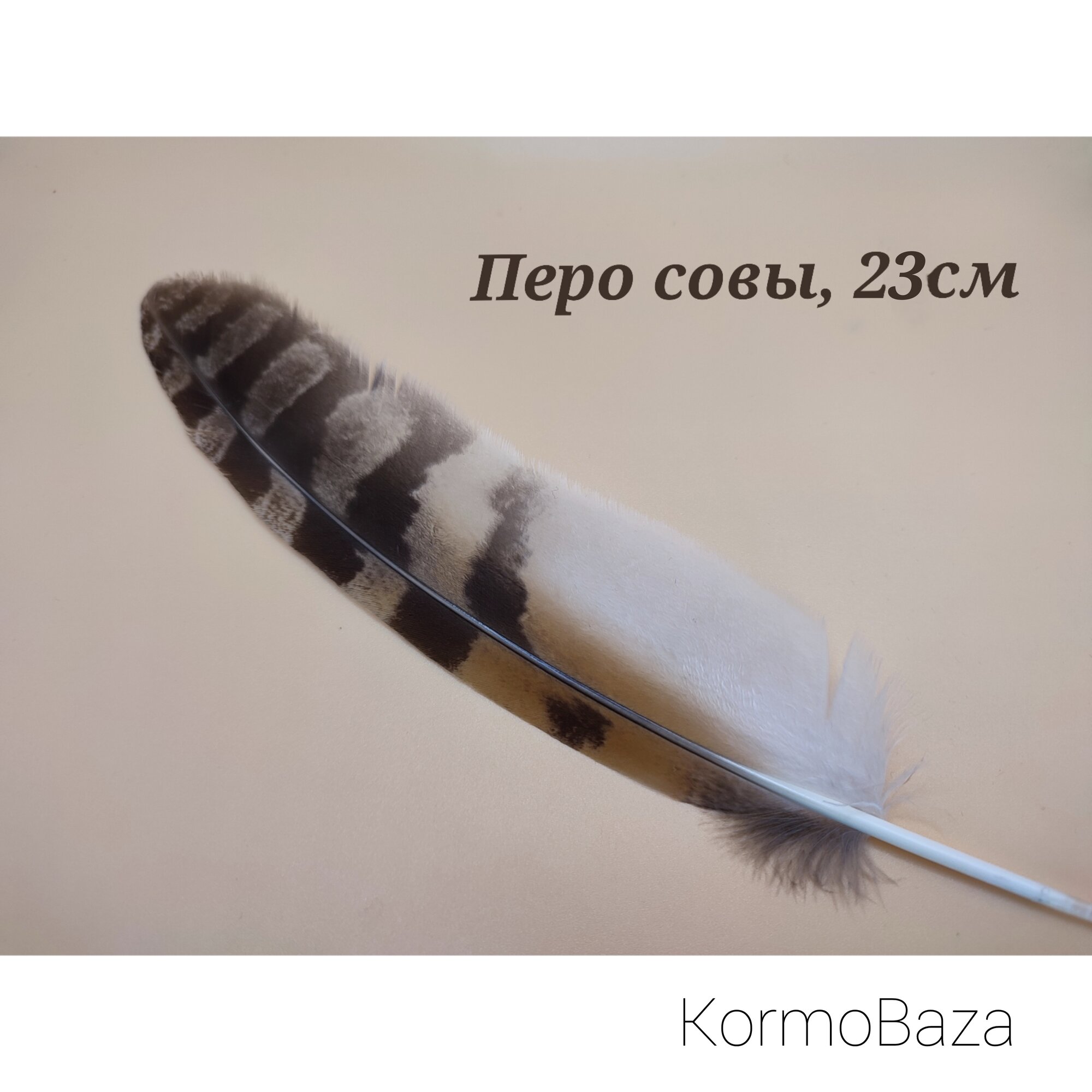 Перо Болотной совы, 1шт. Натуральные перья