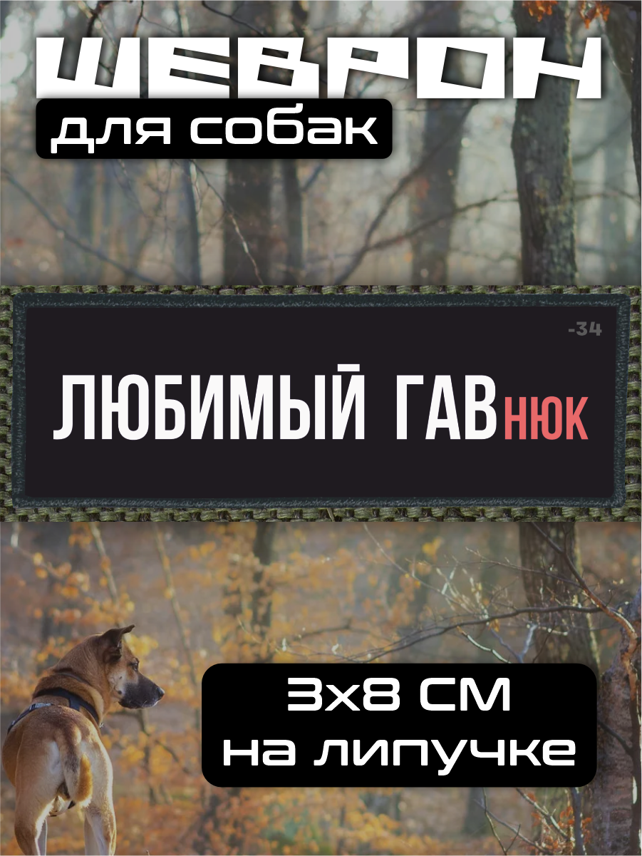 Шеврон на липучке для собак Любимый гав надпись
