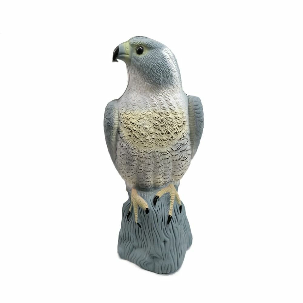 Птицы манок ястреб