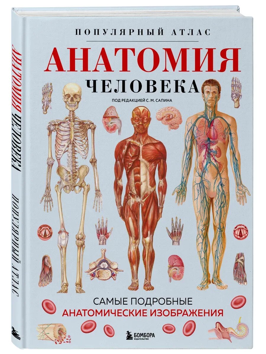 С. В. Котова. Анатомия человека. Популярный атлас. Самые подробные анатомические изображения