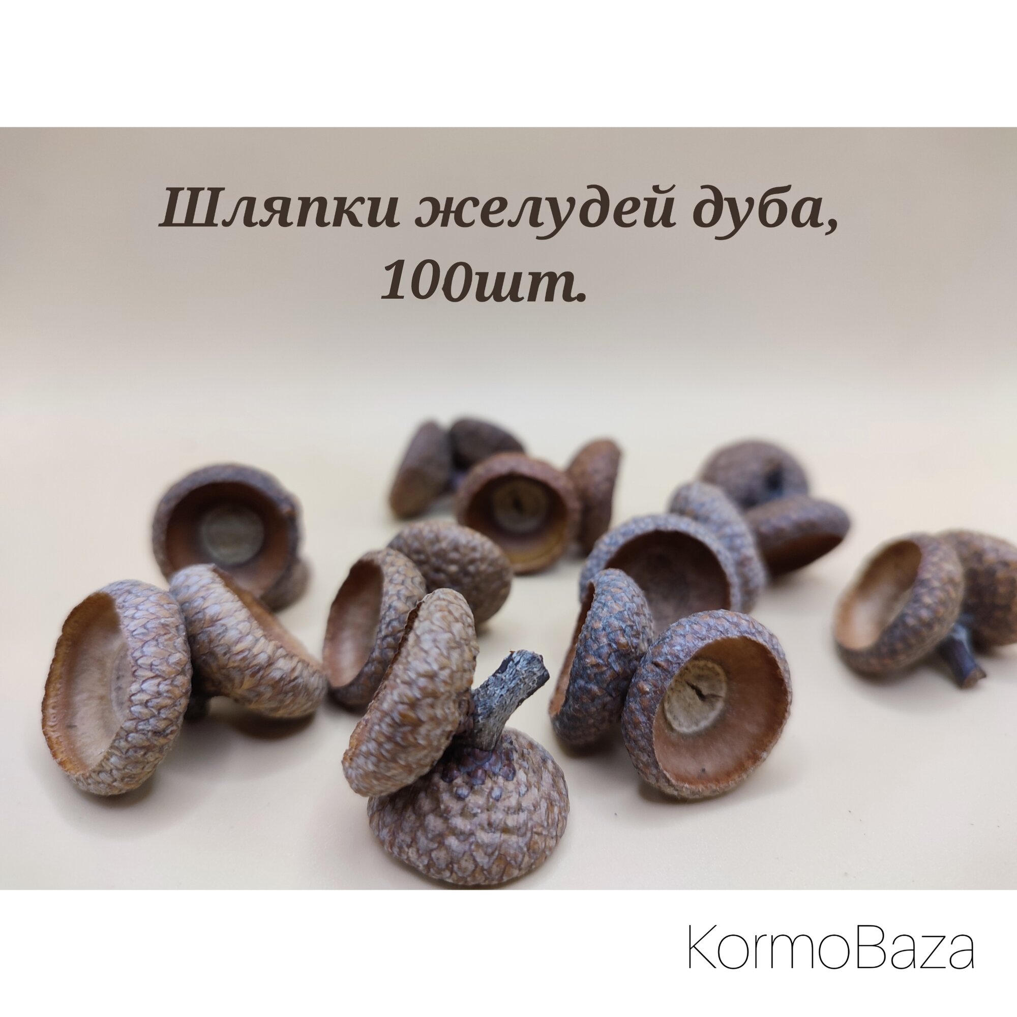 Шляпки желудей дуба, 100шт. Природный материал для творчества и декора
