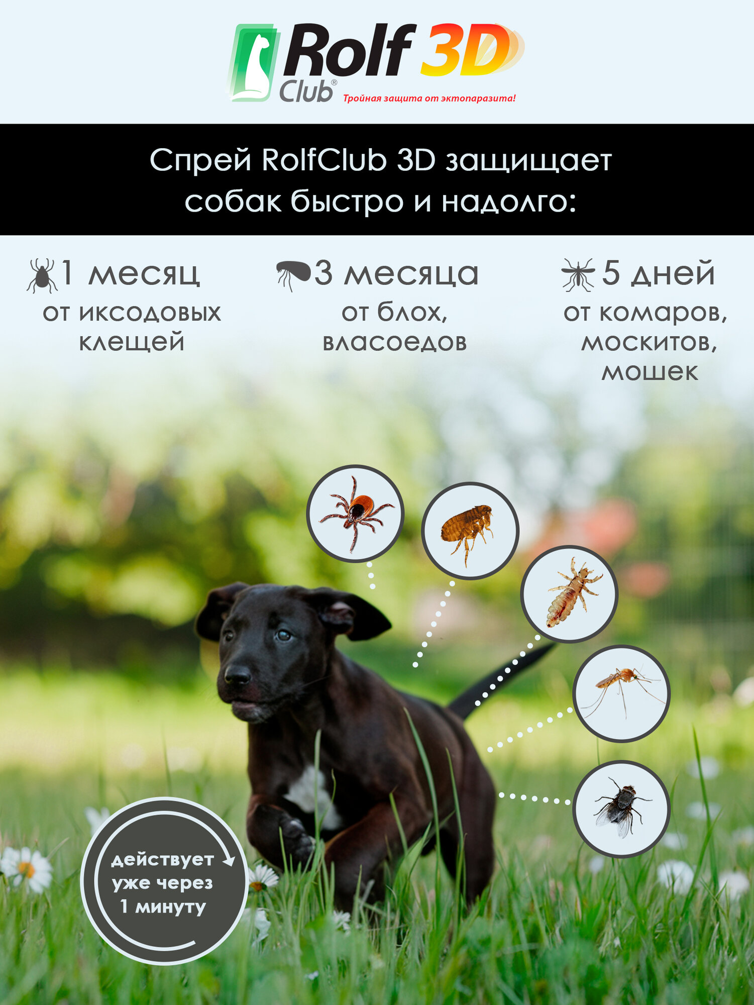 Спрей RolfClub 3D от клещей, блох и комаров, для собак, 200 мл — фото 1