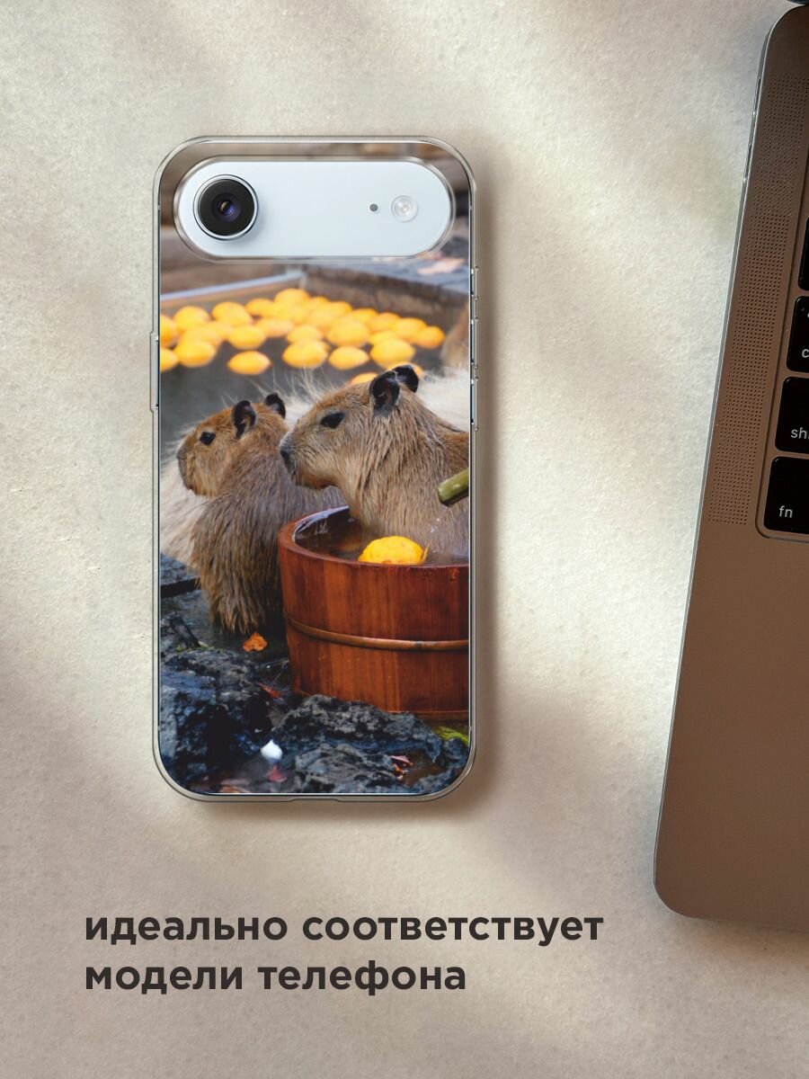 Чехол на Apple iPhone Air / Айфон Айр с принтом "Капибары отмокают" — фото 1