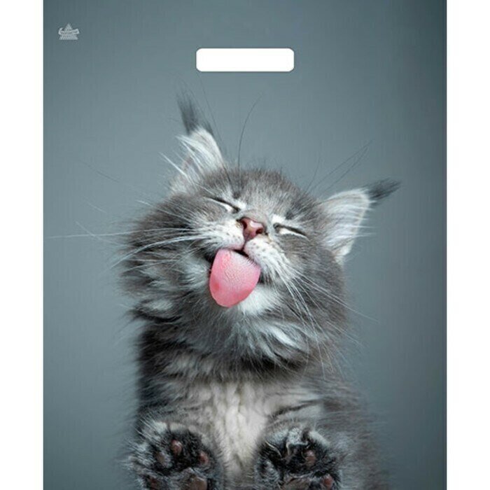 !09 Комплект из 15 штук: Пакет «Кот», полиэтиленовый, с вырубной ручкой, 38×45 см, 60 мкм.