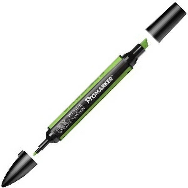Маркер спиртовой Winsor & Newton Promarker двухсторонний, цвет 341 Leaf Green G258 (Winsor & Newton 0203341)
