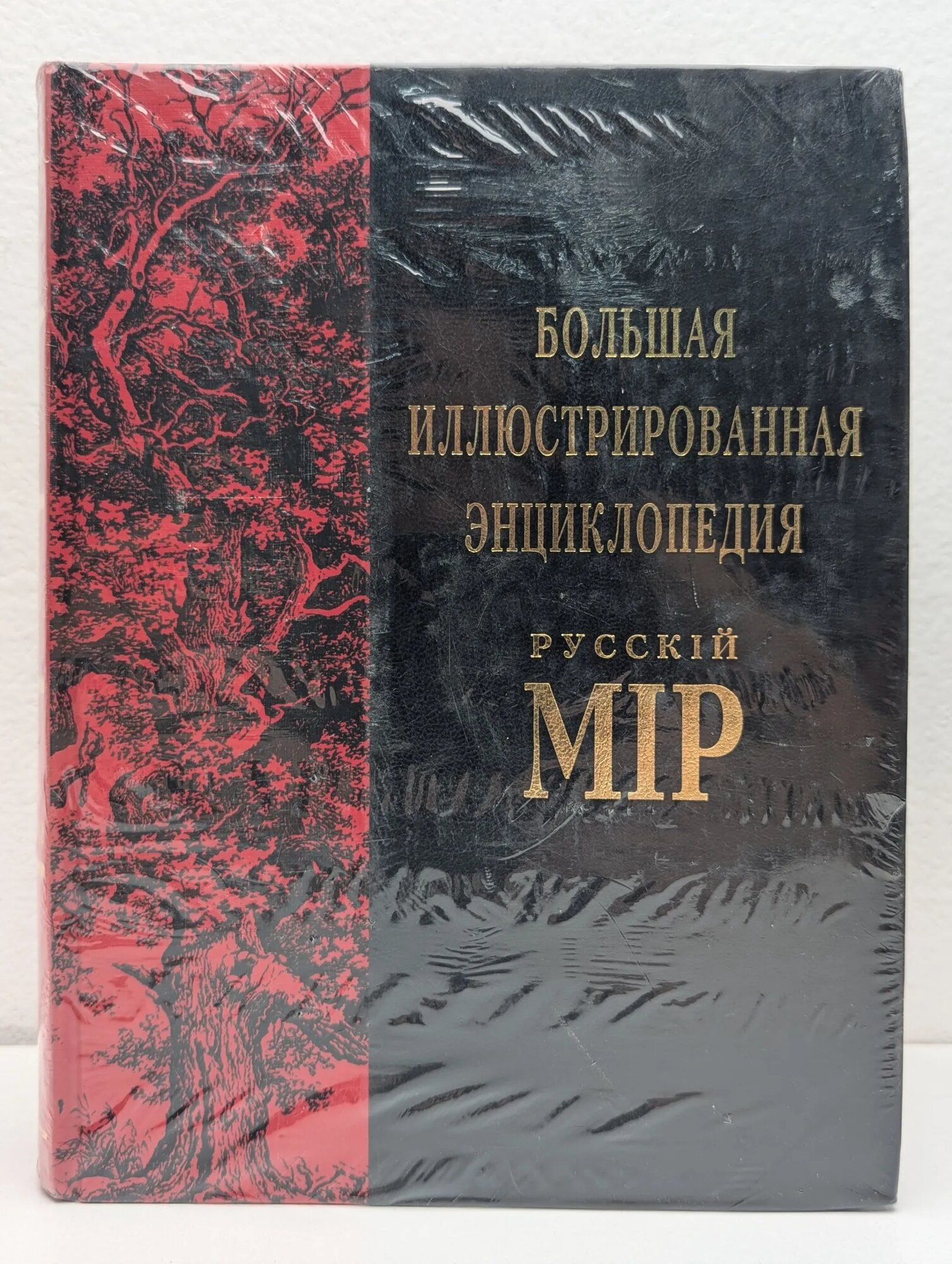 Большая иллюстрированная энциклопедия "Русский мир". Том 12 Сборник 2006