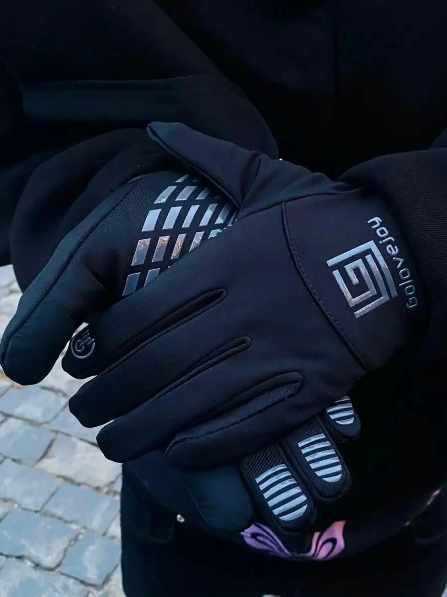 Перчатки Осень-зима 2023 для мужчин