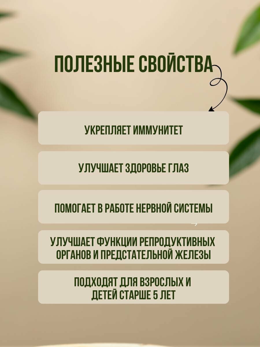 Цинк в капсулах — фото 1