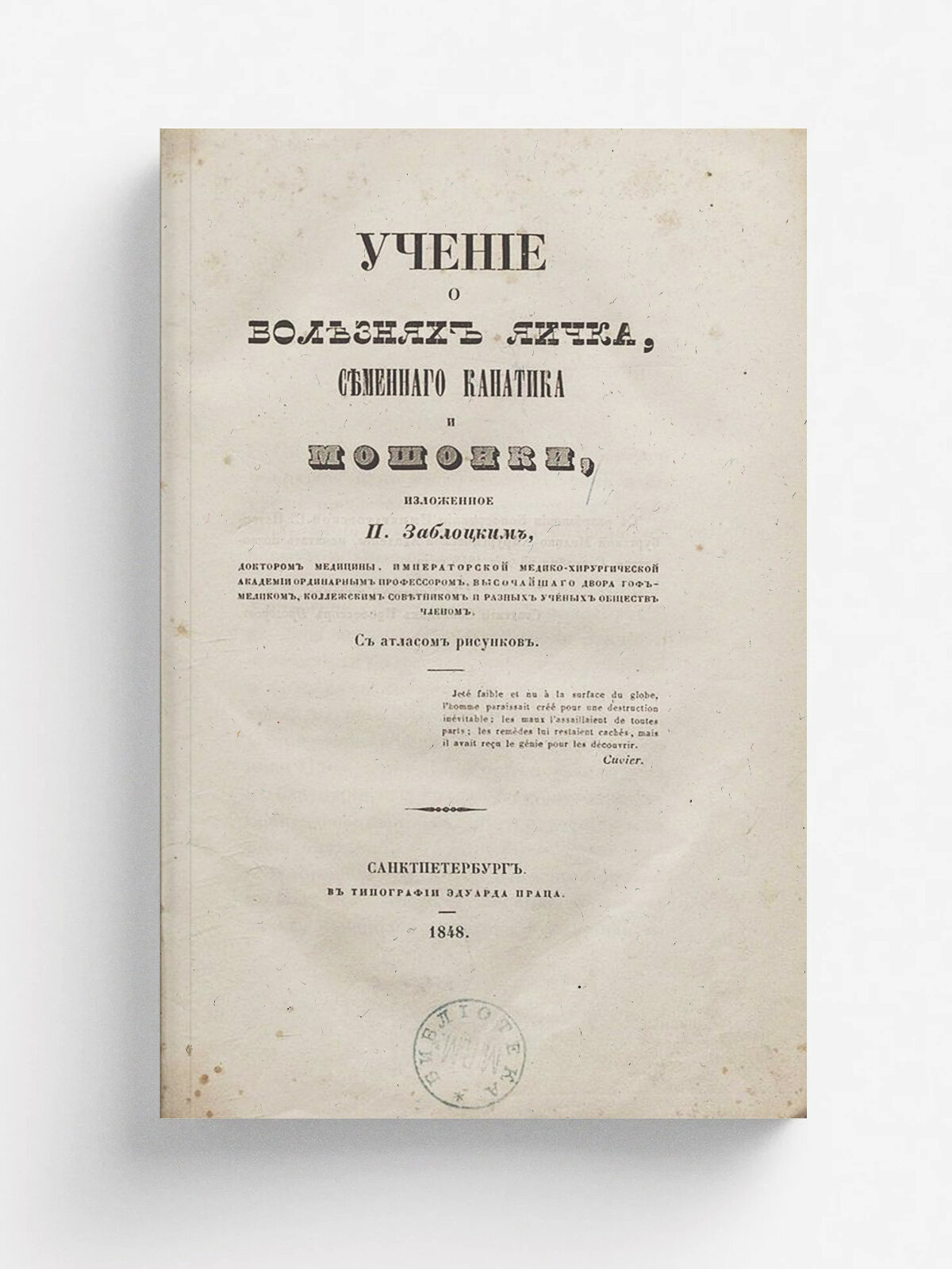 Учение о болезнях яичка, семенного канатика и мошонки