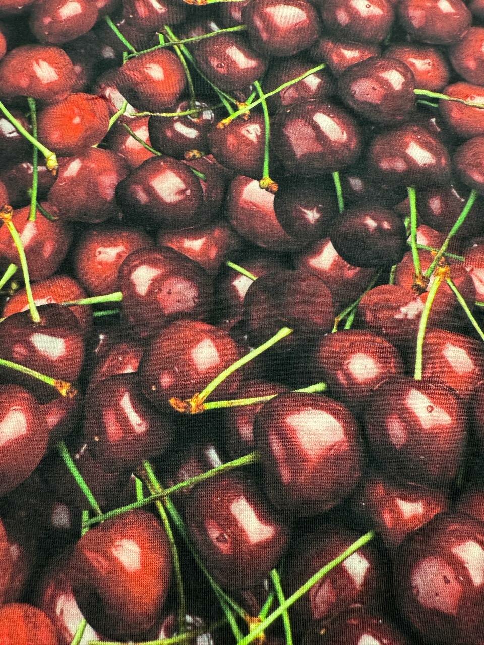 Ткань Футер 2-х нитка Вишни 240г/м2