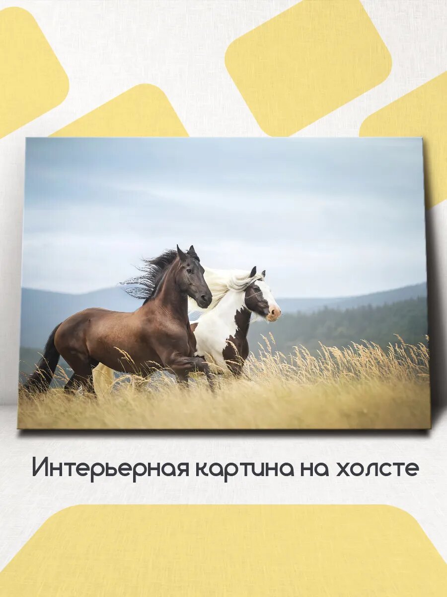 Картина на стену интерьерная Животные, лошадь, конь 40x30 см