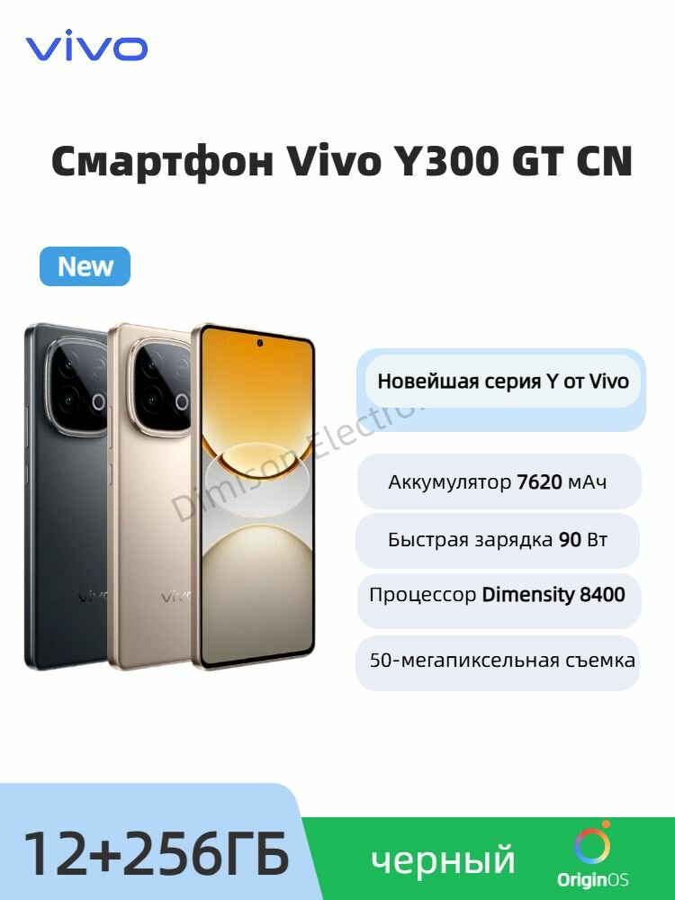 Смартфон Vivo Y300 GT 12/256GB черный