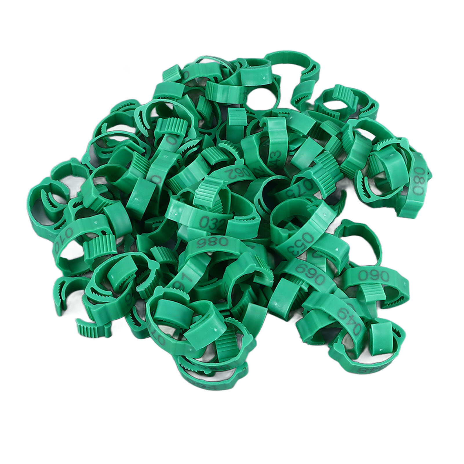 100 шт. Клип кольца с куриной ногой на ярком цвете прочные пластиковые пластиковые плисовые ленты для ног птиц для Birds Duck Goose Gamefowl 100pcs Зеленые кольца с номерами