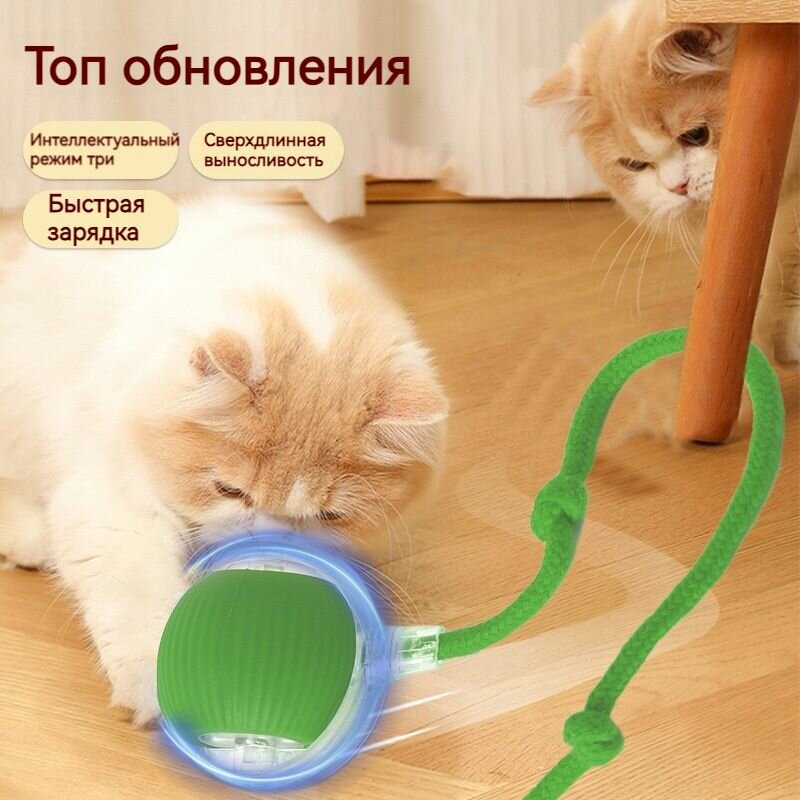 Умный мячик для кошки, дразнилка для кошек, Интерактивные игрушки для щенков