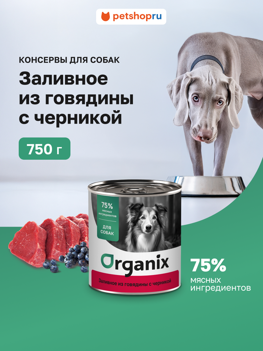 Organix консервы для собак Заливное из говядины с черникой, влажный корм, 750 г