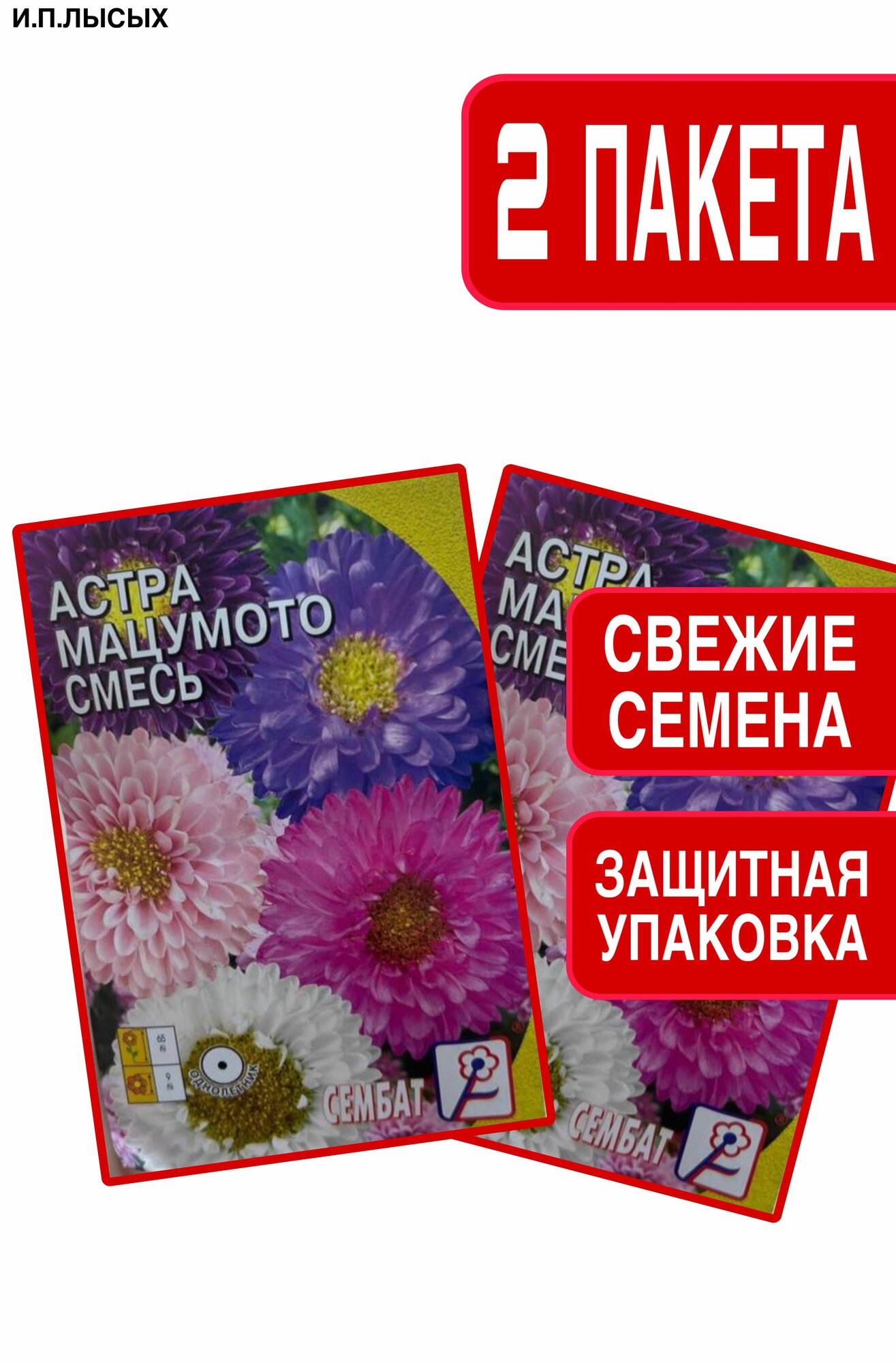 Семена Астра "Мацумото"
