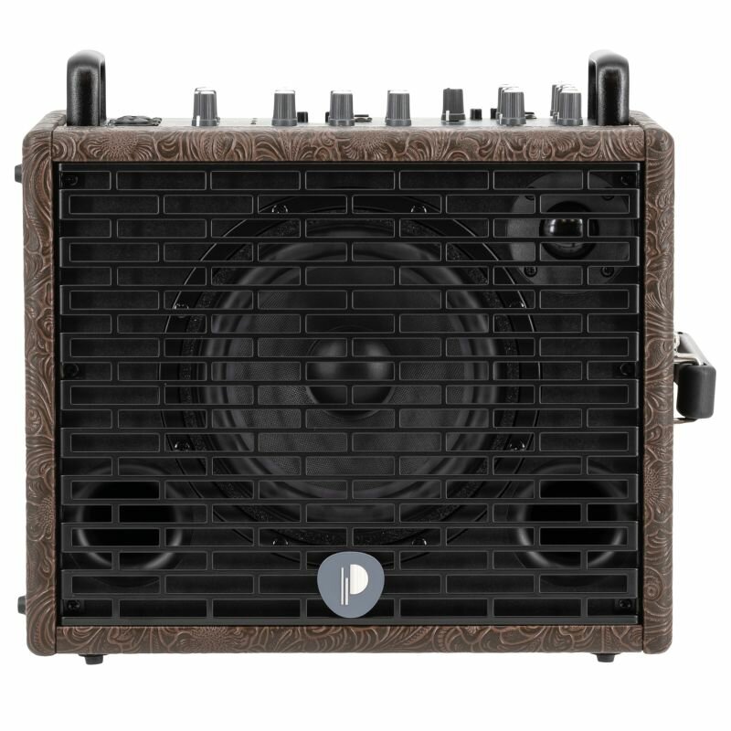 PROTRAVELER6 Комбоусилитель с чехлом, 120Вт, Prodipe